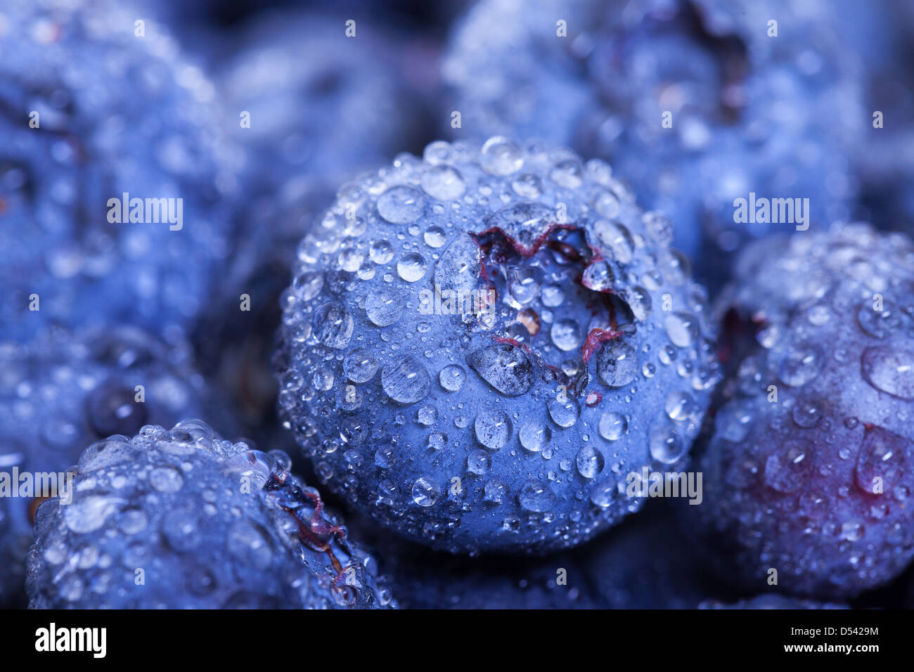Wet Fresh Blueberries Berries closeup, backdrop Stock Photo - Alamy