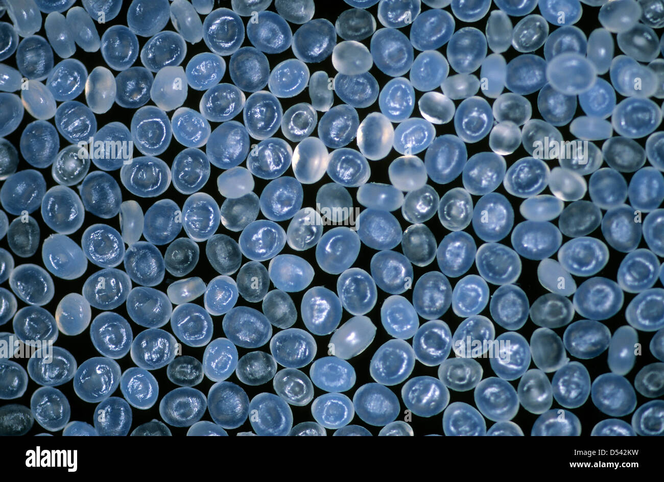 Petrochemicals saudi hi-res stock photography and images - Alamy