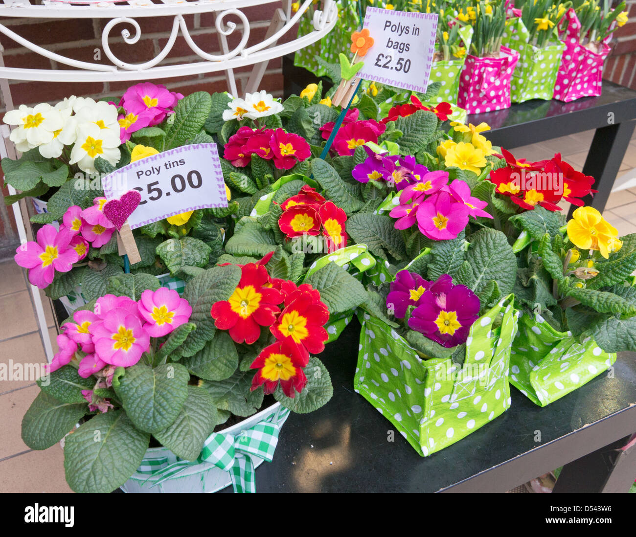 Spring flowers for sale outside a shop in Darlington, north east ...