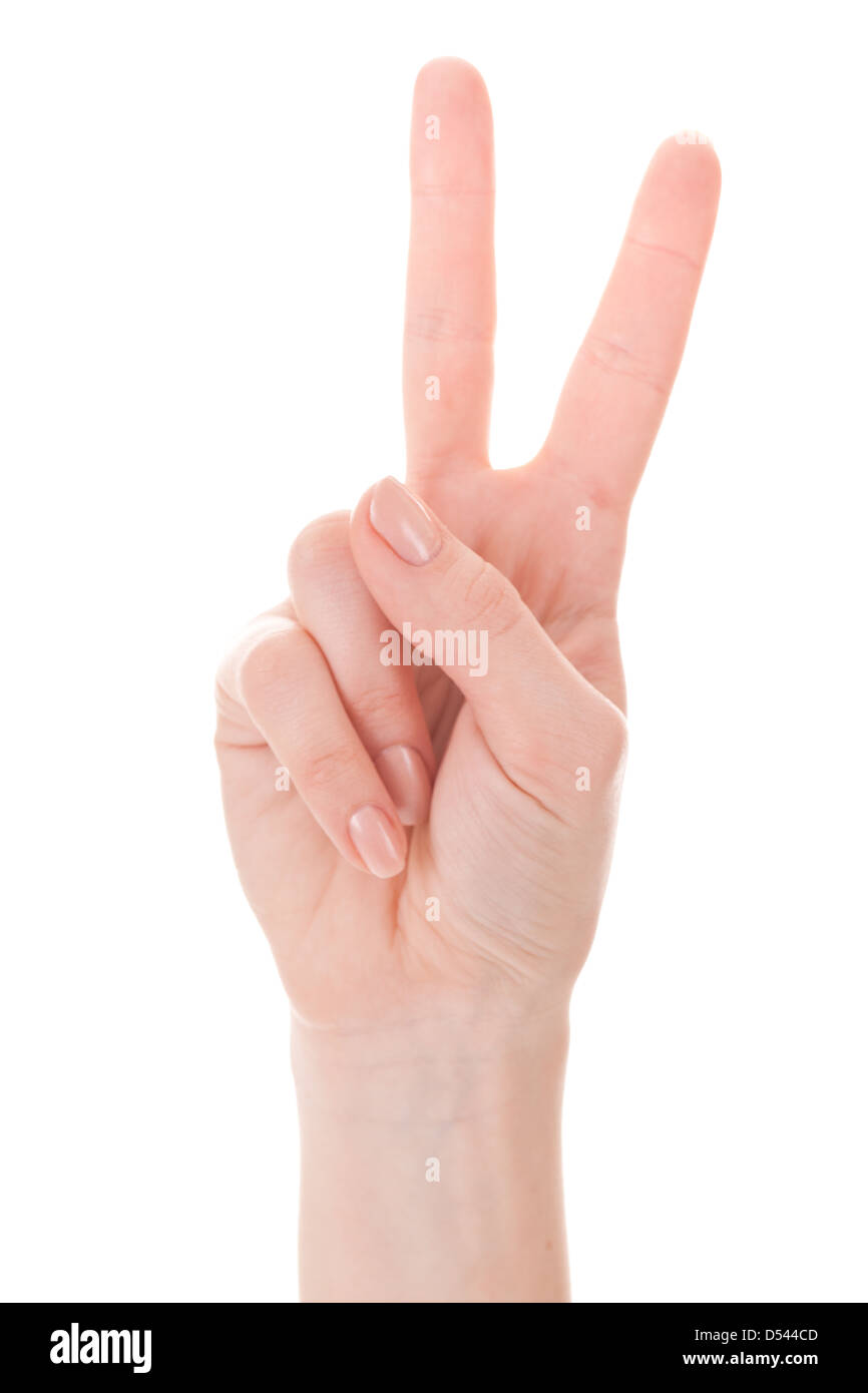 woman's hand with a variety of gestures on a white background Stock ...