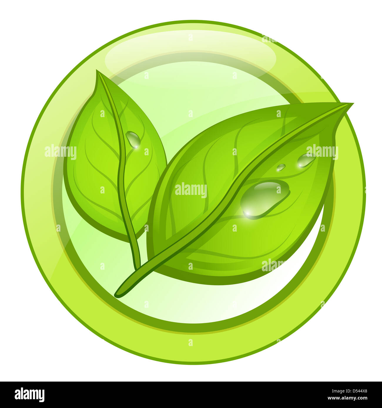 Logo for green and safe products with two leafs with water drops on it ...