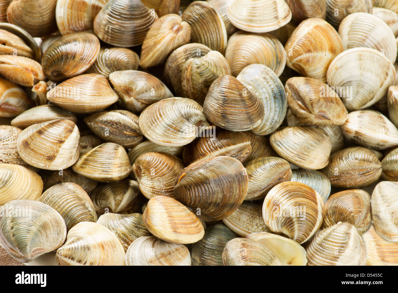 Eat clams hi-res stock photography and images - Alamy