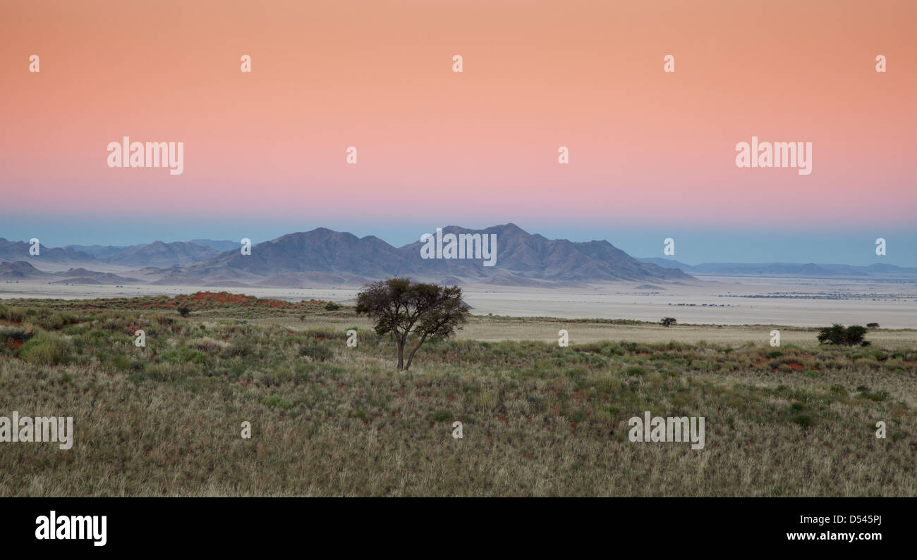 Namibia desert sunset tree hi-res stock photography and images - Alamy