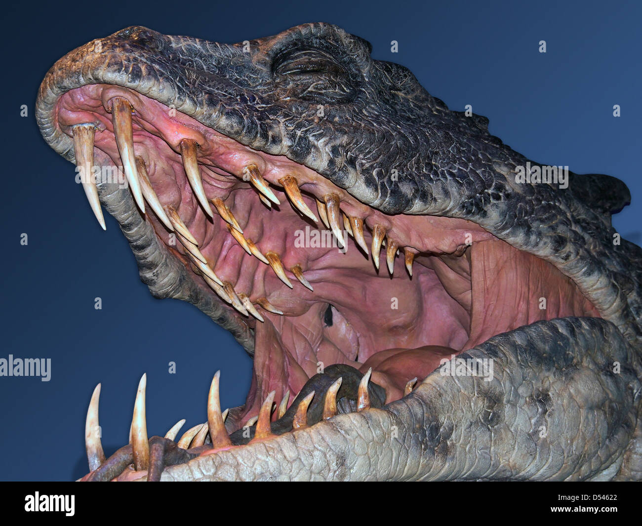 Closeup of monsters head on the making of Harry Potter back lot tour ...