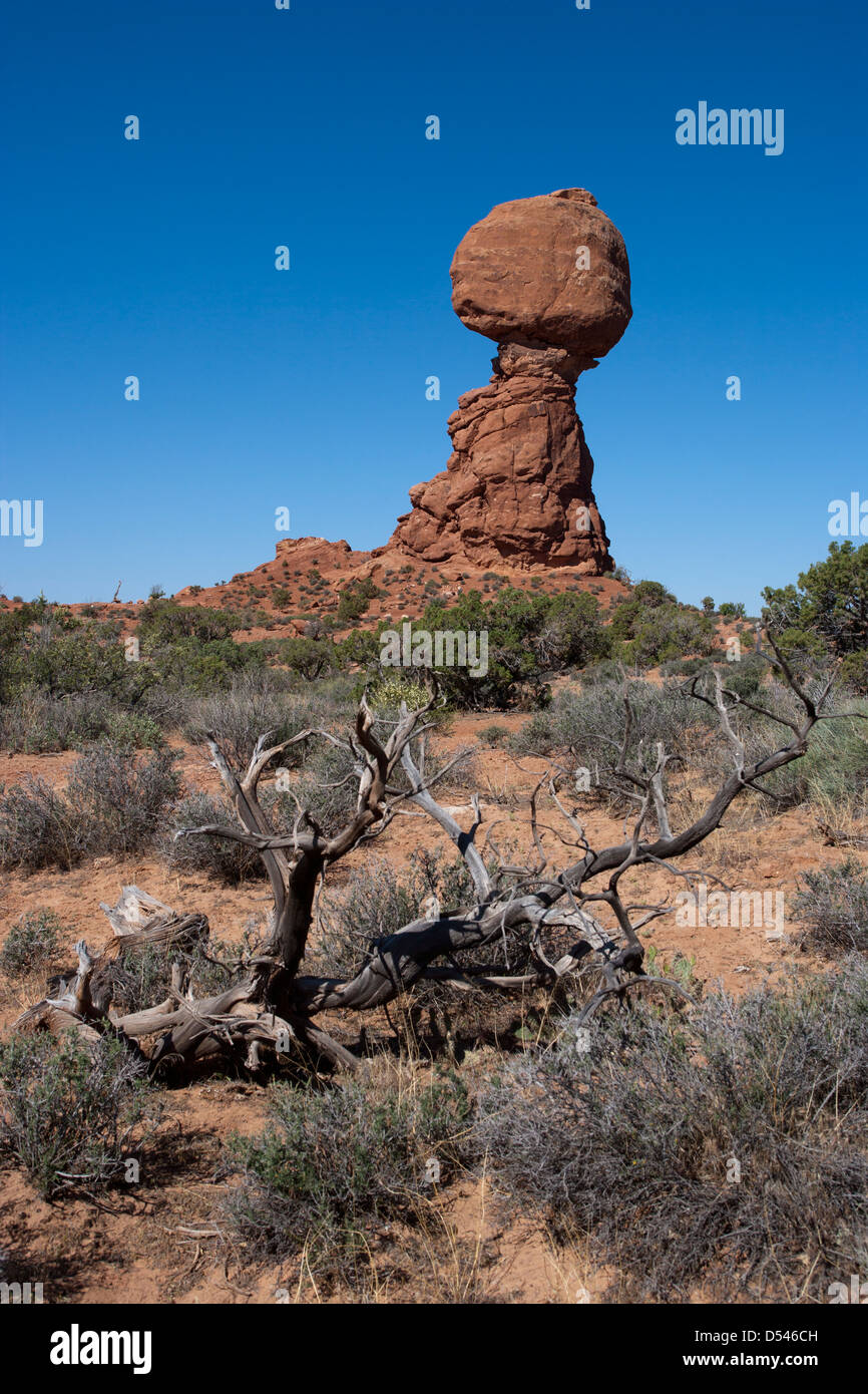 Utah arches national park united states balanced rock geological ...