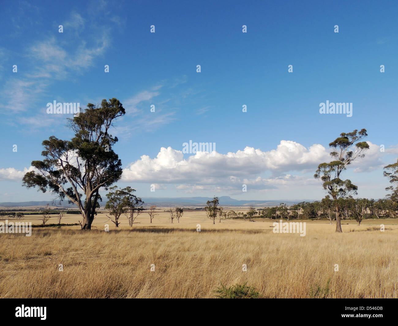 Australia landscape or countryside hi-res stock photography and images ...