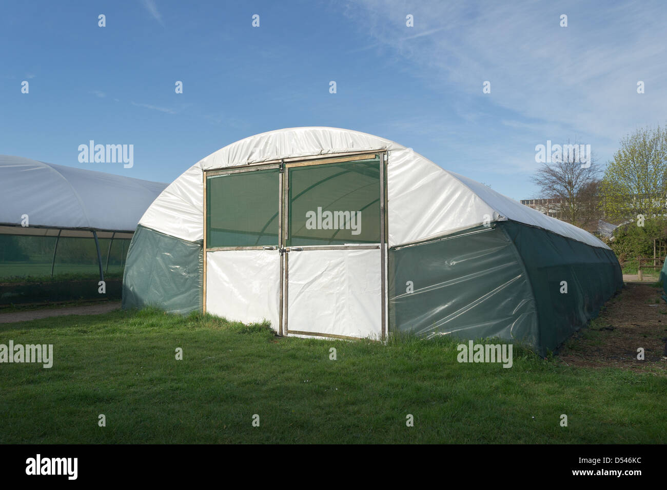 Heavy duty polly tunnel used to advance crops ready for early planting ...