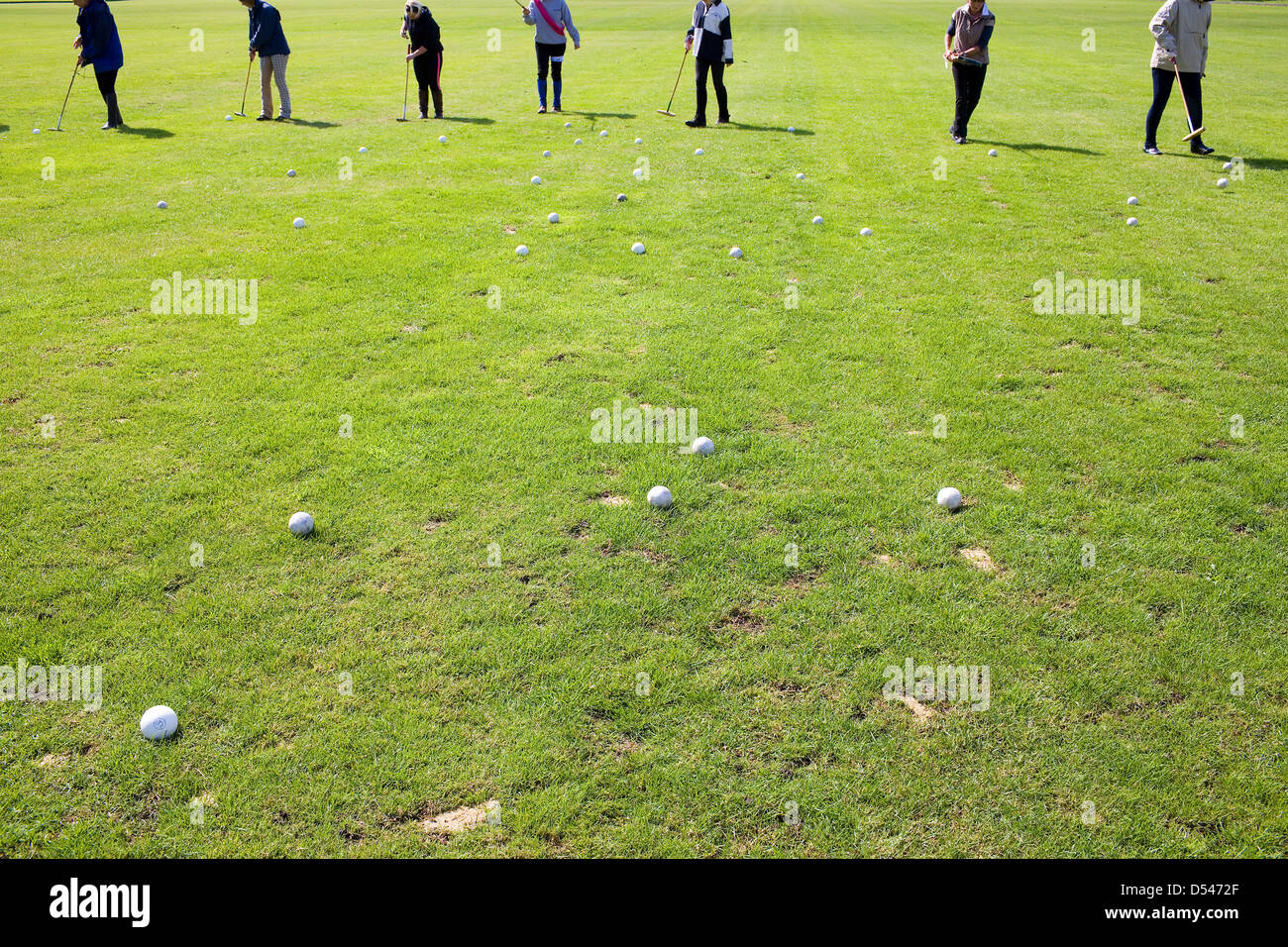 Polo balls being collected after a swing lesson Stock Photo - Alamy