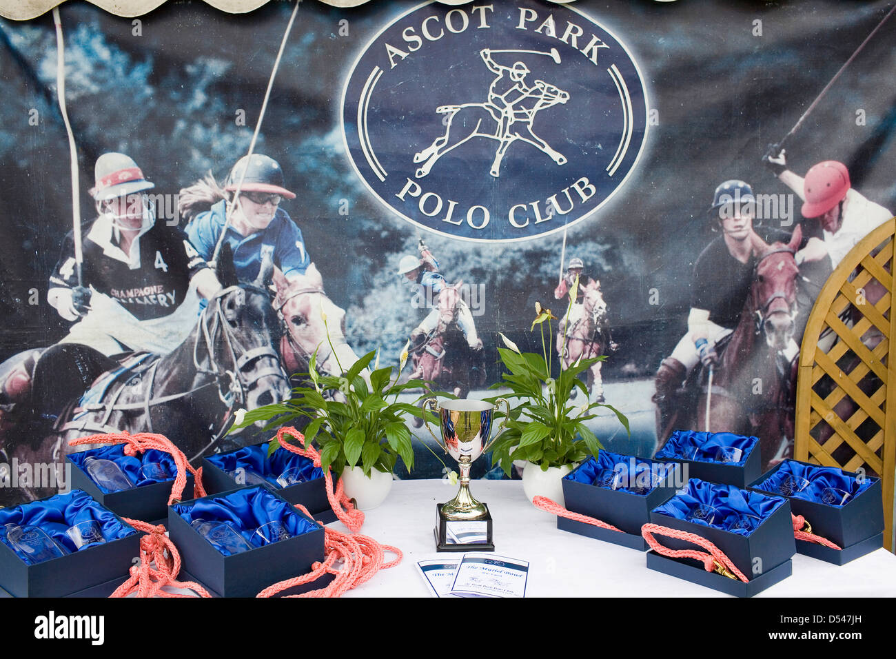Trophies await their winners at Ascot Park Polo Club Stock Photo - Alamy