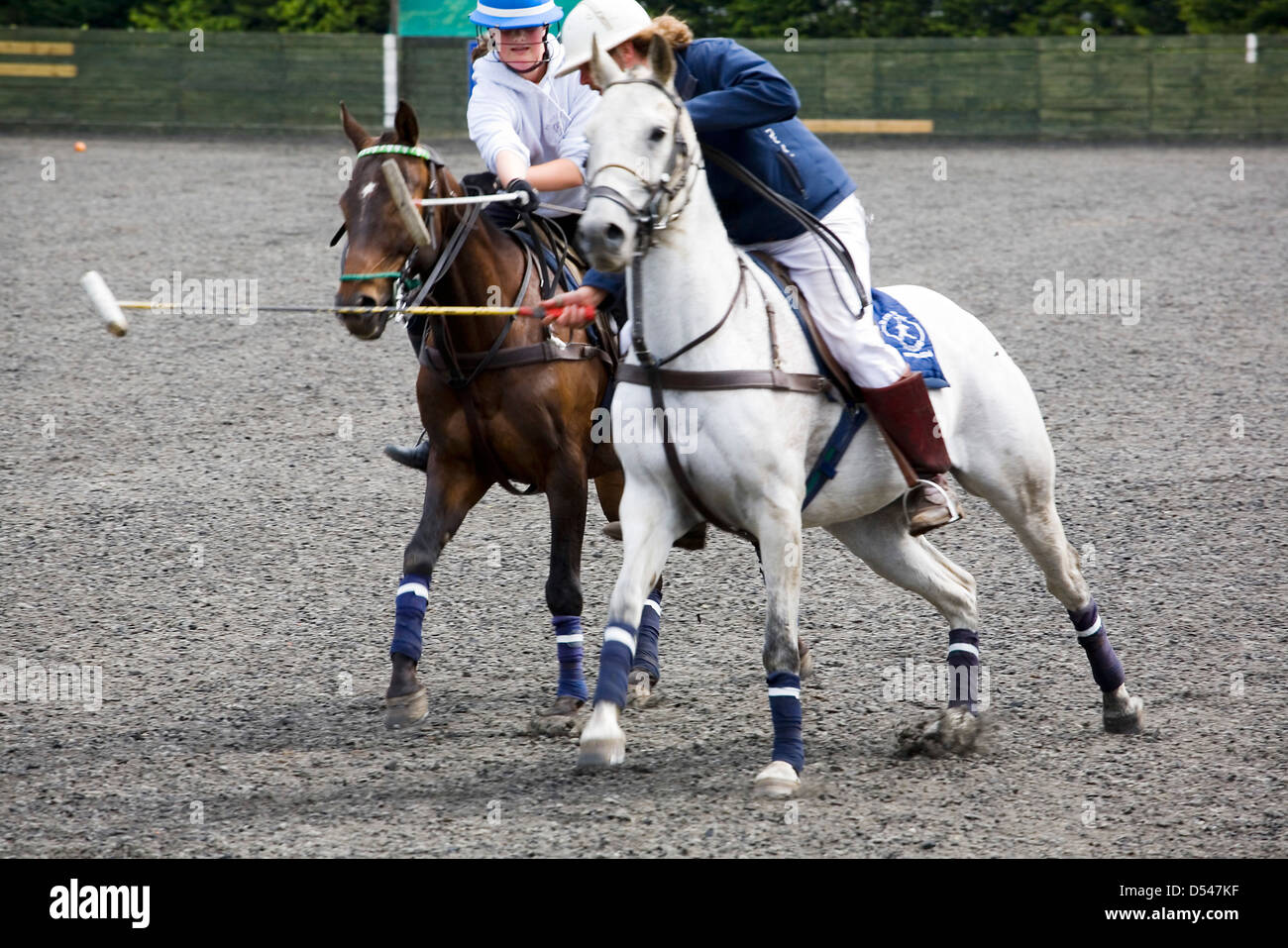 Two women compete in a polo match Stock Photo - Alamy