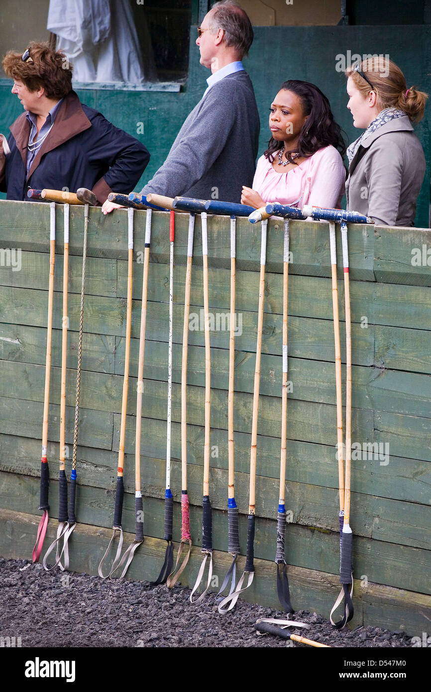 Polo sticks on a fence Stock Photo - Alamy