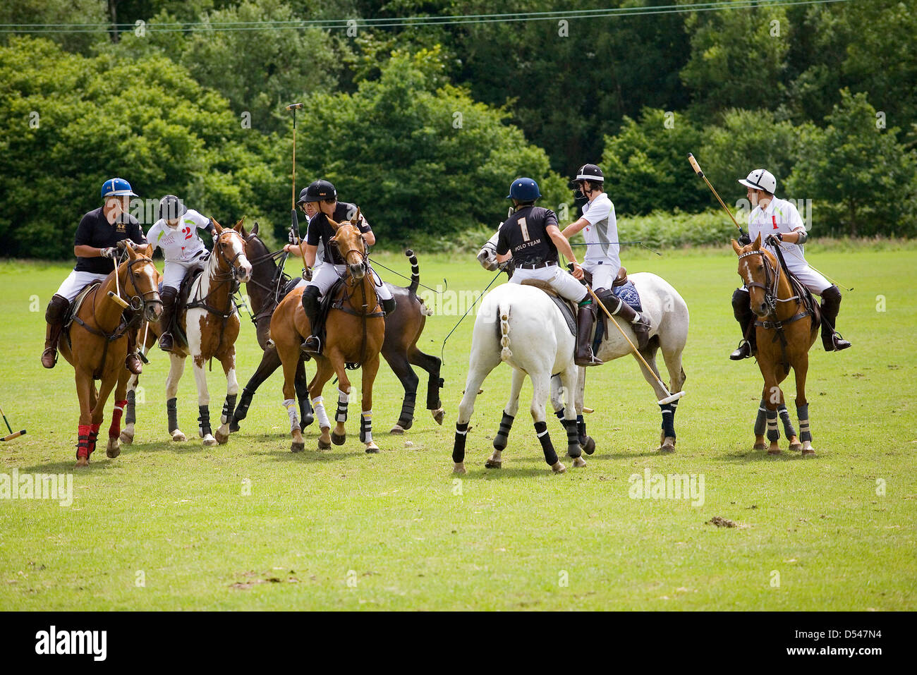 A group of polo players during a Sunday afternoon match Stock Photo - Alamy