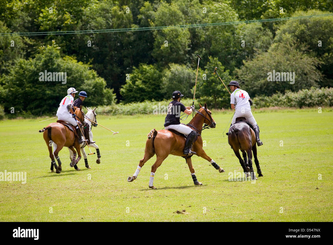 4 four horses hi-res stock photography and images - Alamy