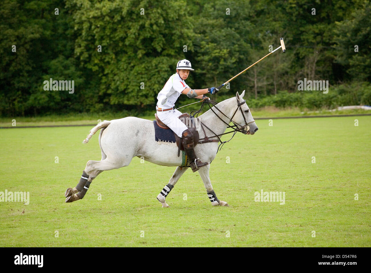 A man riding a white horse with a polo stick Stock Photo - Alamy