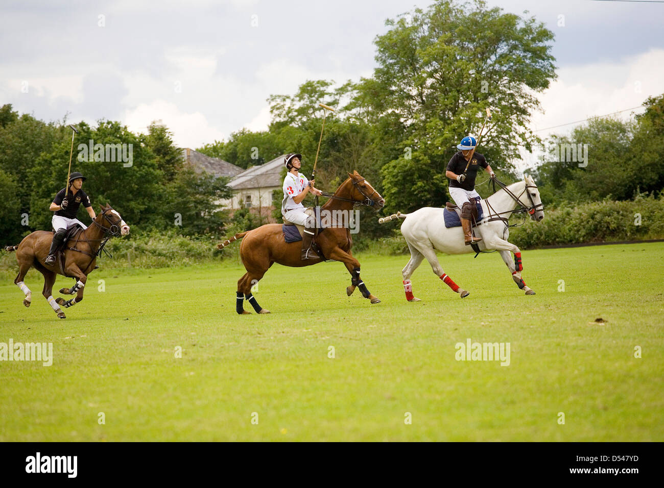 Three men on riding horse play polo Stock Photo - Alamy