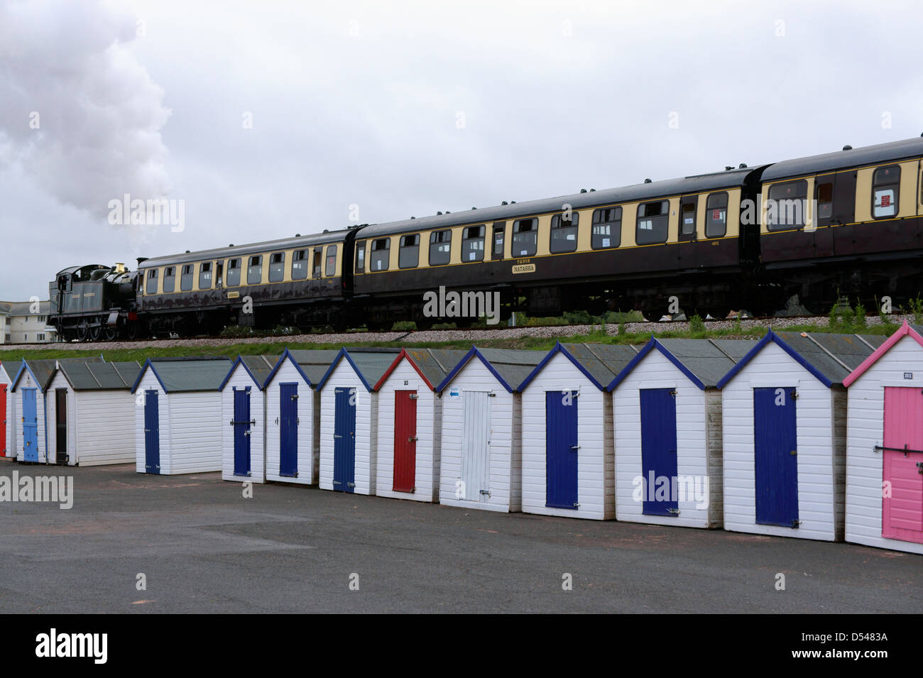 4277 hercules steam locomotive paignton hi-res stock photography and ...