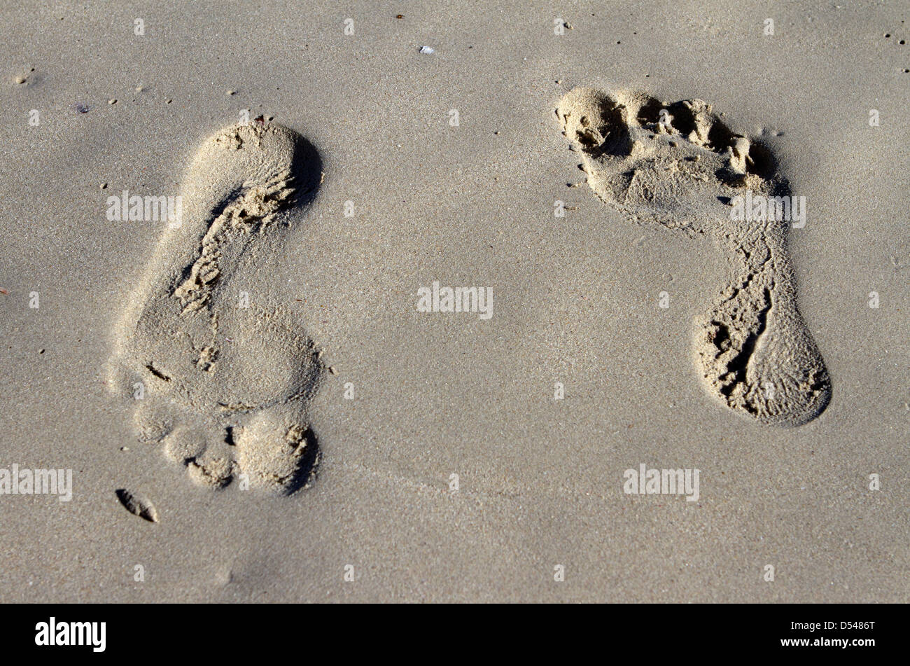 Footprints in sand Stock Photo - Alamy