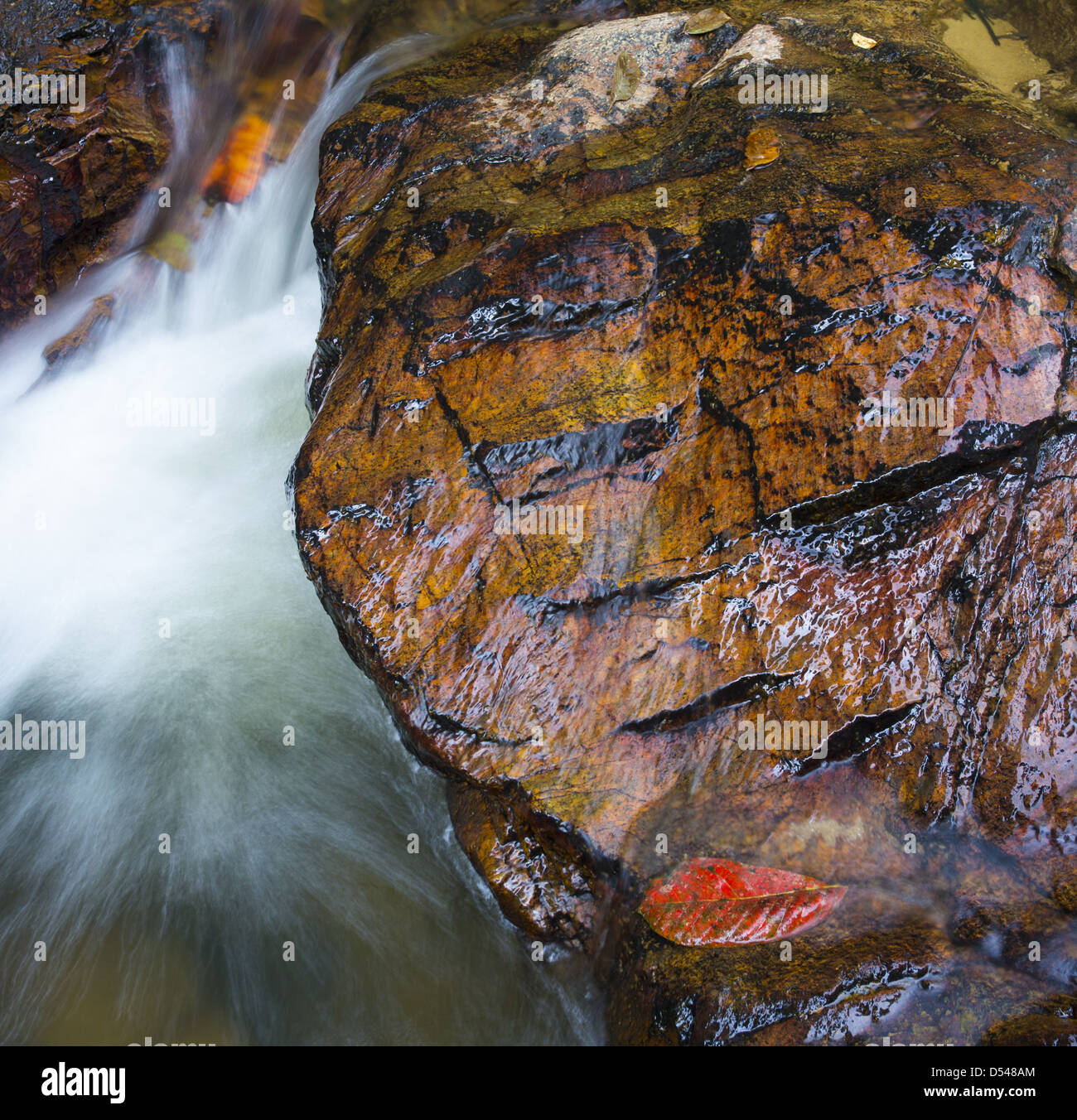 Fresh water rushing over rocks, Fraser's Hill, Malaysia Stock Photo - Alamy