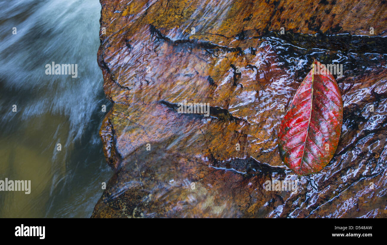 Water rushing over river rocks hi-res stock photography and images - Alamy