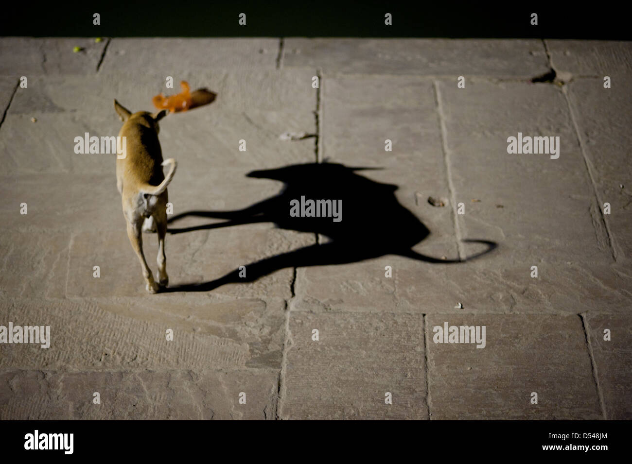 Dark shadow scared hi-res stock photography and images - Alamy