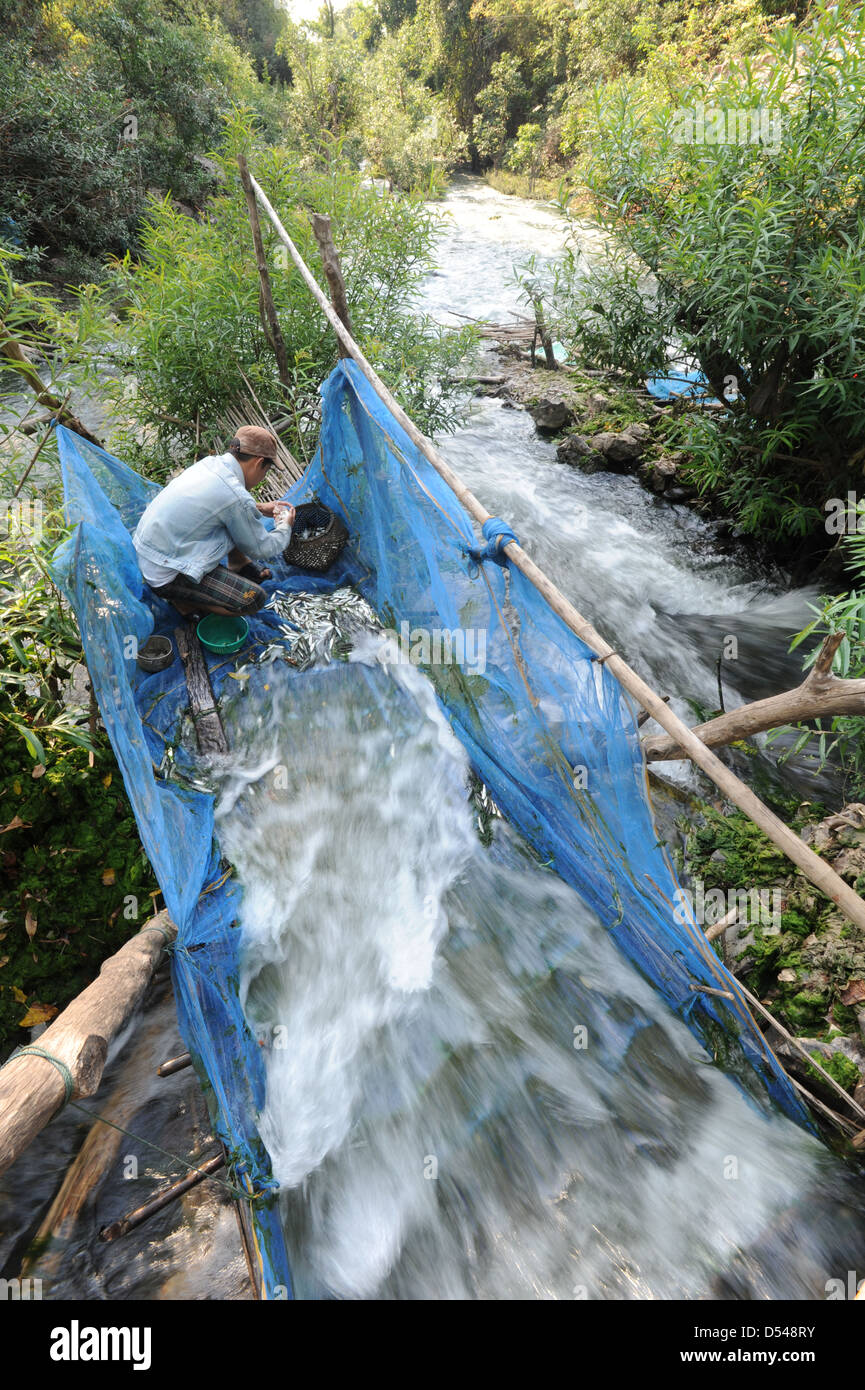 Fish trap at Don Khon island on river Mekong, Laos Stock Photo - Alamy