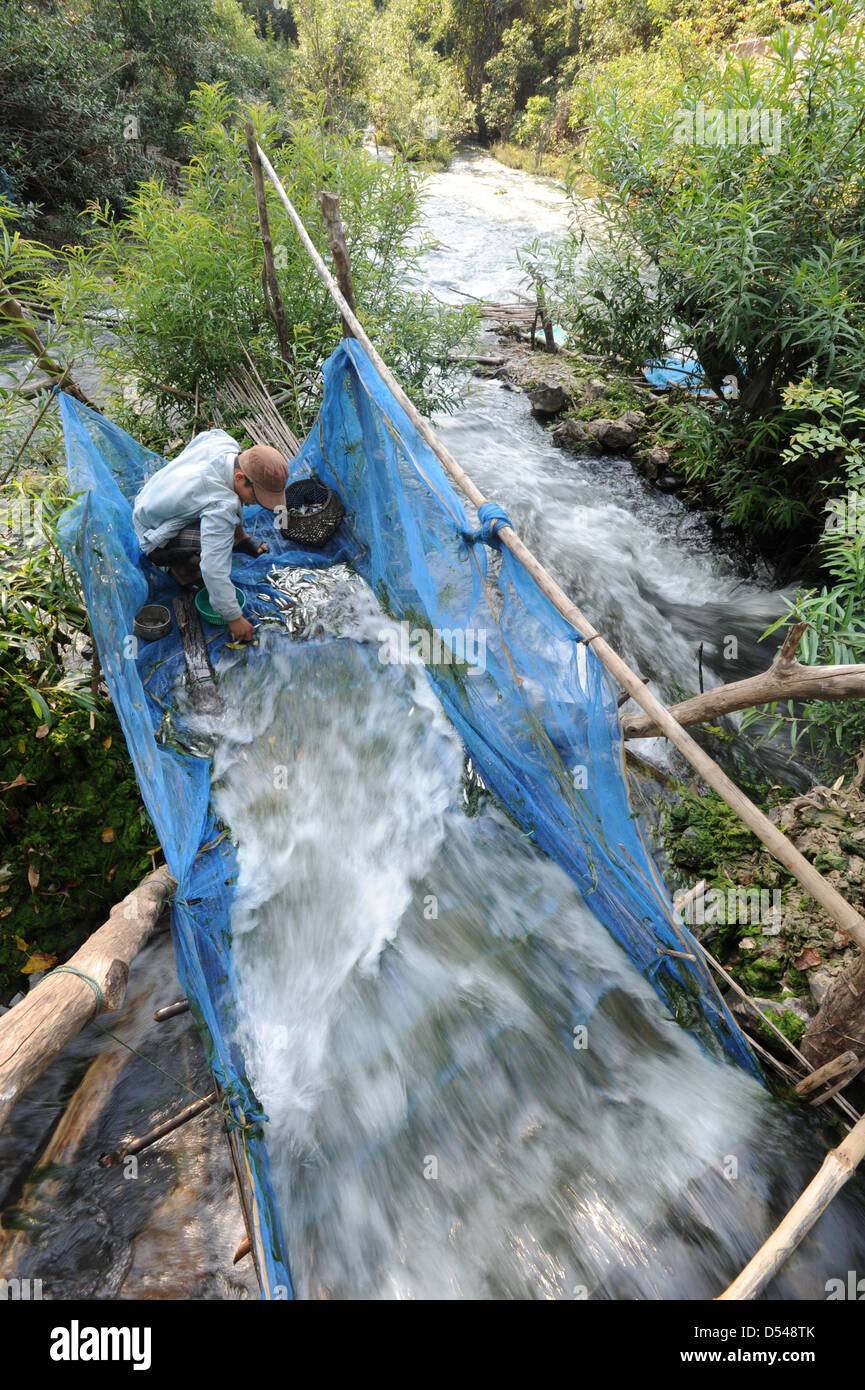 Fish trap at Don Khon island on river Mekong, Laos Stock Photo - Alamy