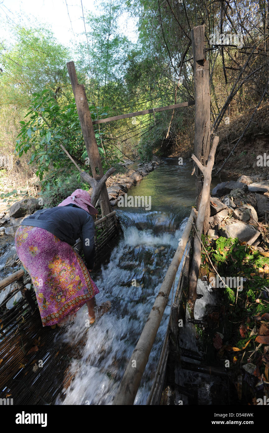 Fish trap at Don Khon island on river Mekong, Laos Stock Photo - Alamy