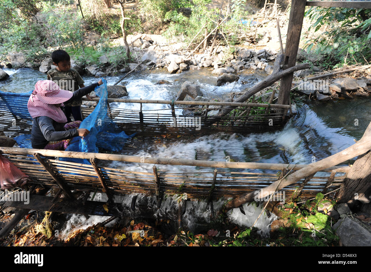 Fish trap at Don Khon island on river Mekong, Laos Stock Photo - Alamy