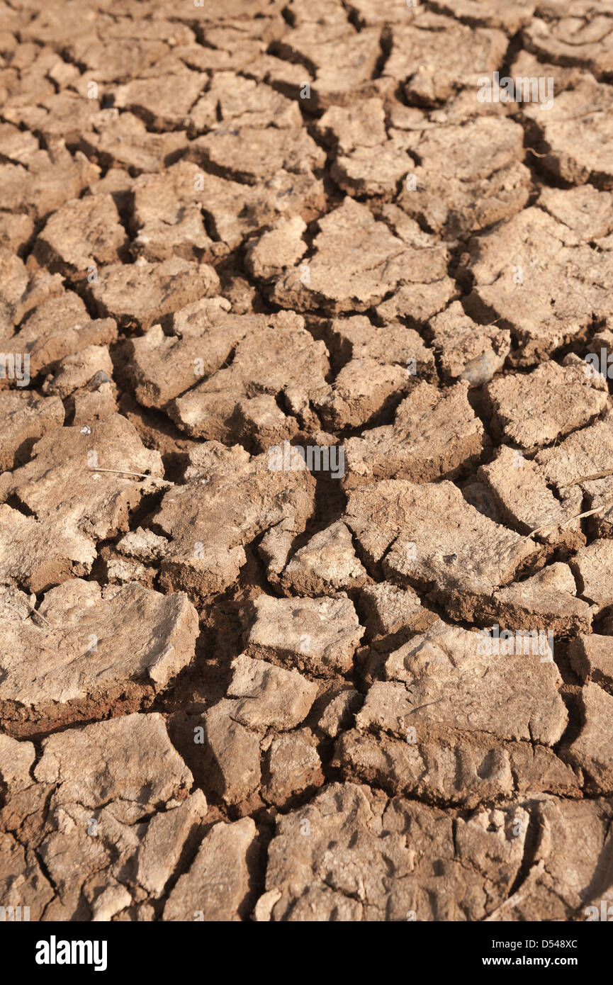 Drought dried mud soil creating difficult structure for plants to grow ...