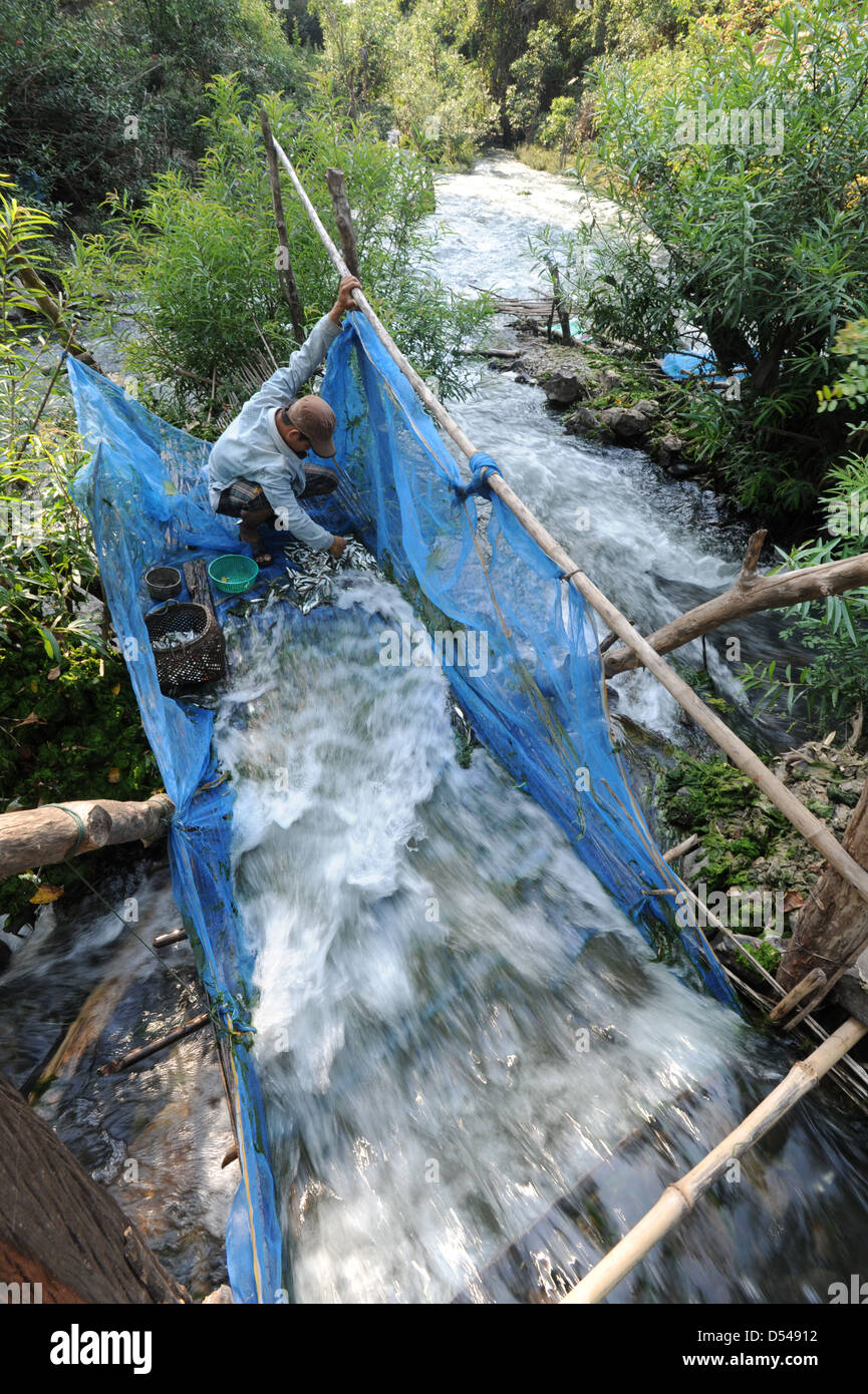 Fish trap at Don Khon island on river Mekong, Laos Stock Photo - Alamy