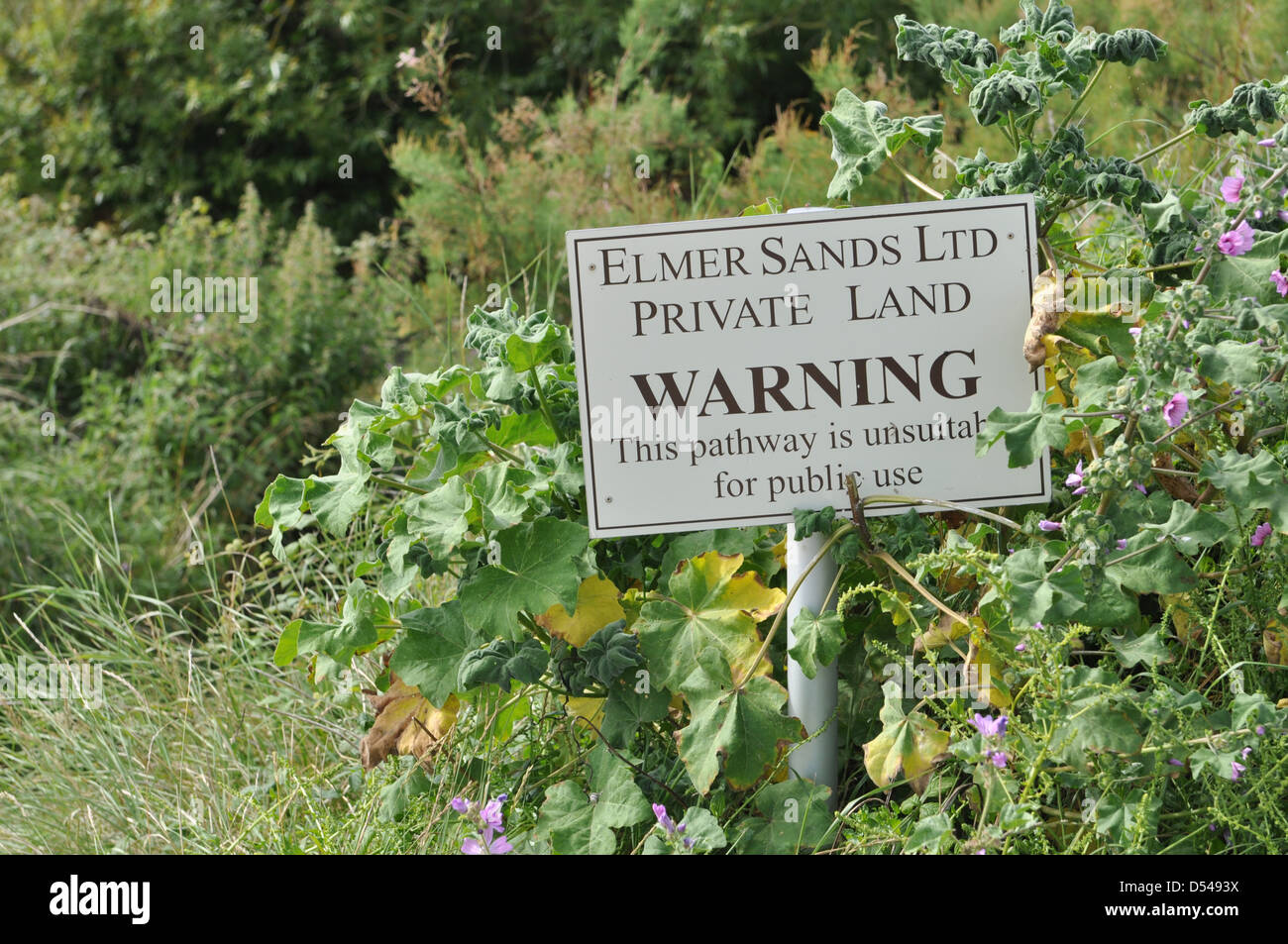 Elmer sands hi-res stock photography and images - Alamy