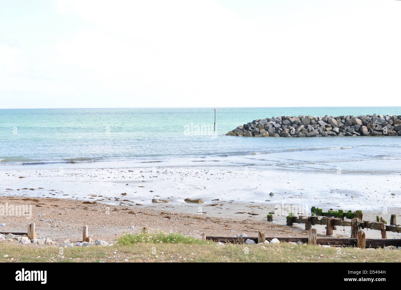 Elmer Beach's Instagram, Twitter & Facebook on IDCrawl