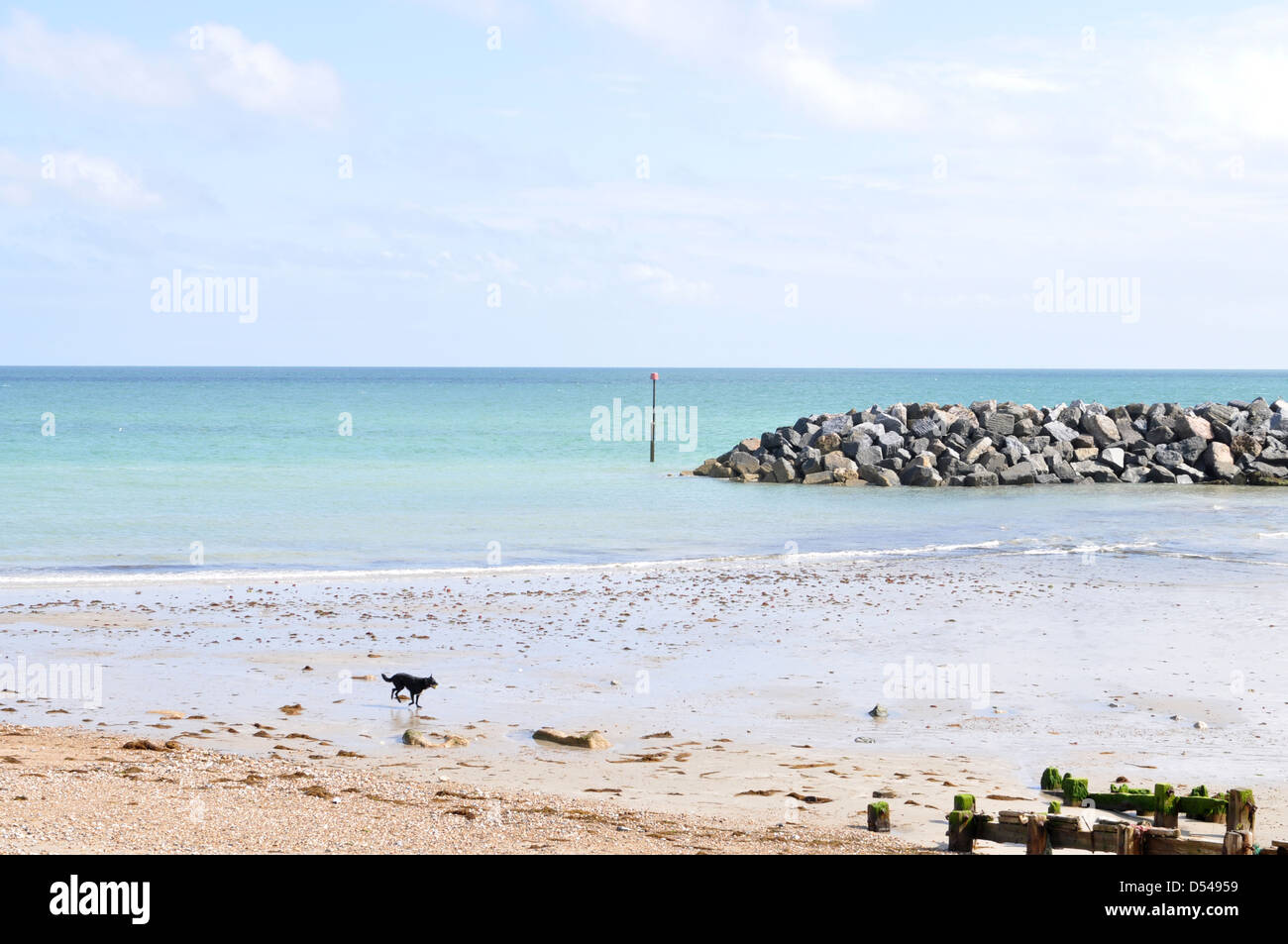 Dog on a private beach at Elmer Sands, nr Bognor Regis UK Stock Photo ...