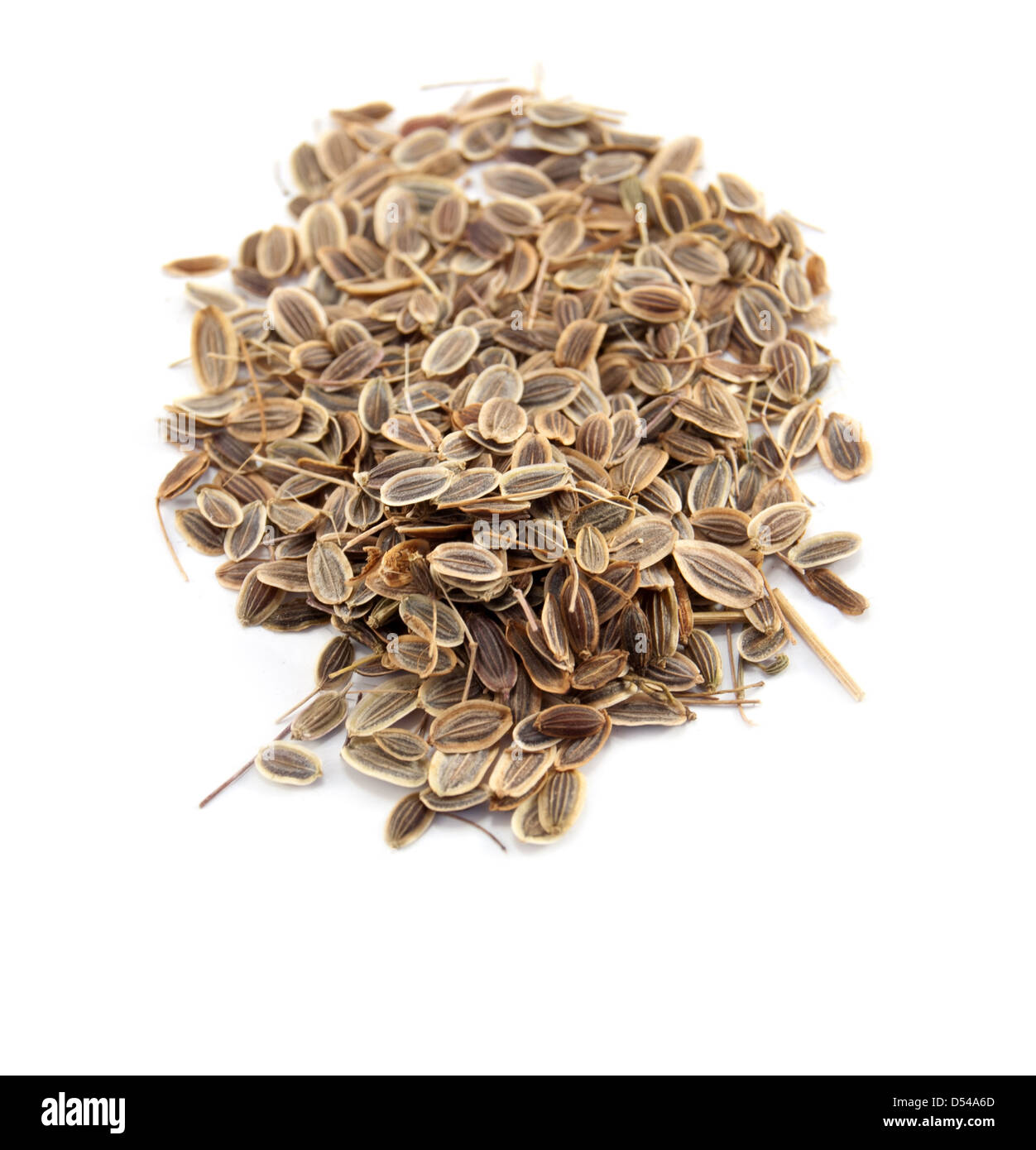 seed of dill, close up Stock Photo - Alamy