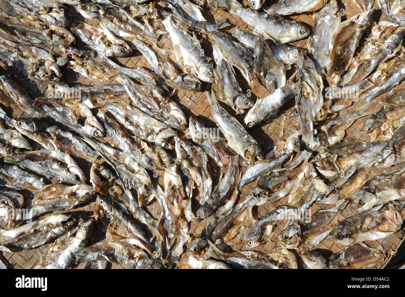 Drying fish of river Mekong Stock Photo - Alamy