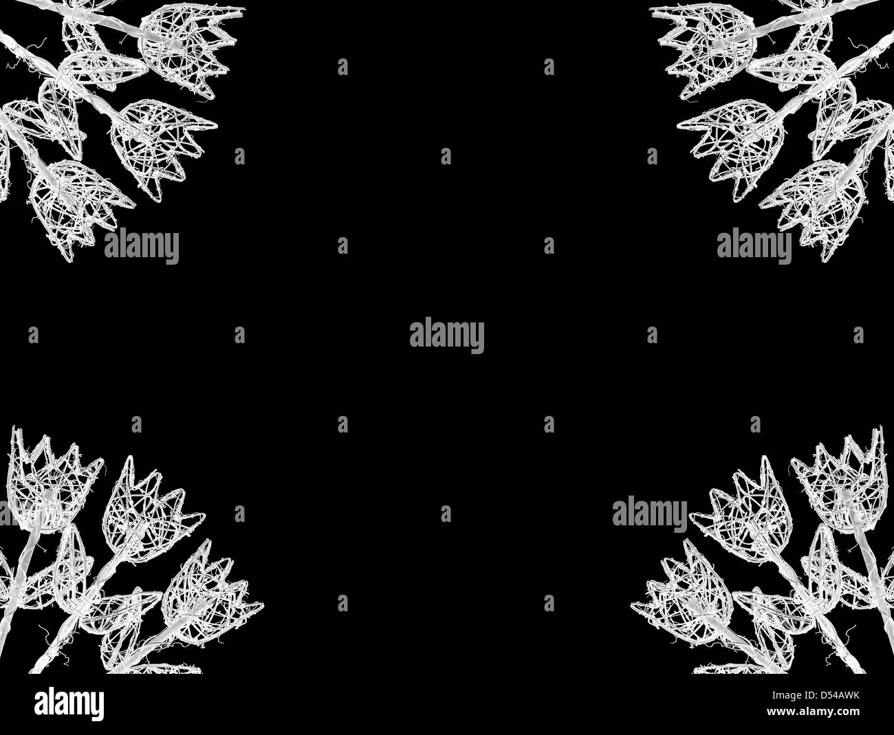 White Tulips Frame Stock Photo - Alamy