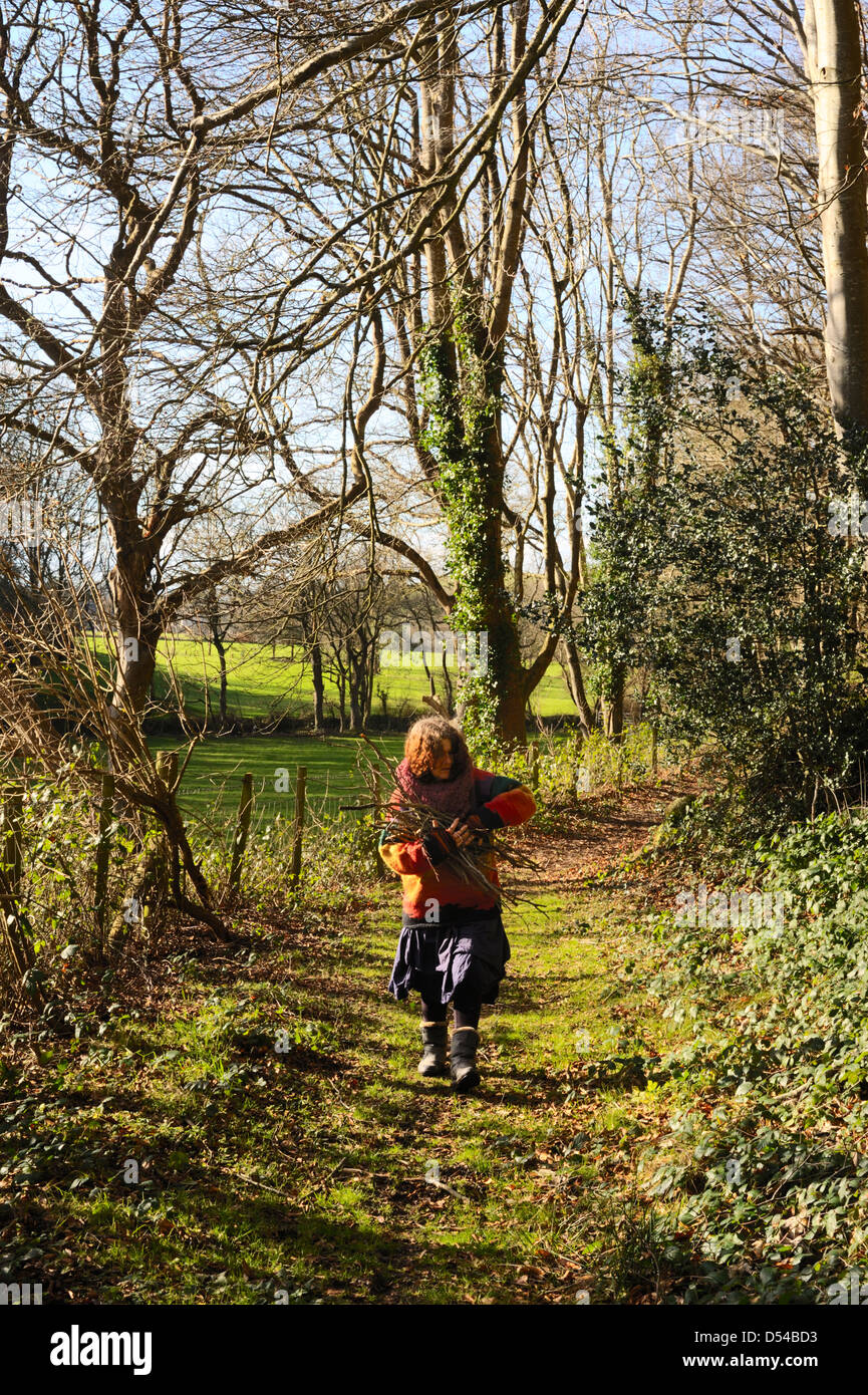 Woman collecting sticks for kindling in woodland, Wales Stock Photo - Alamy