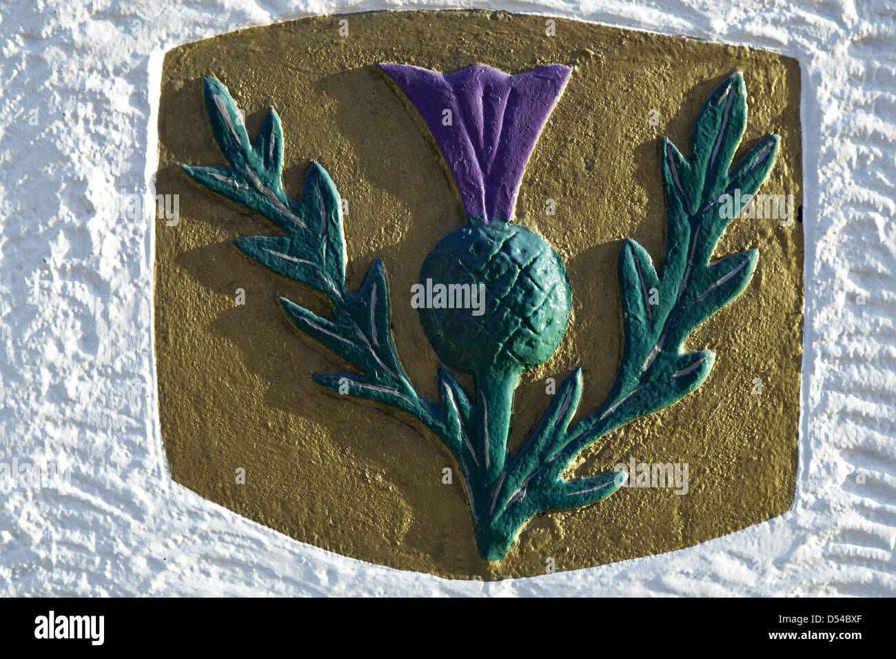 Thistle scotland hi-res stock photography and images - Alamy