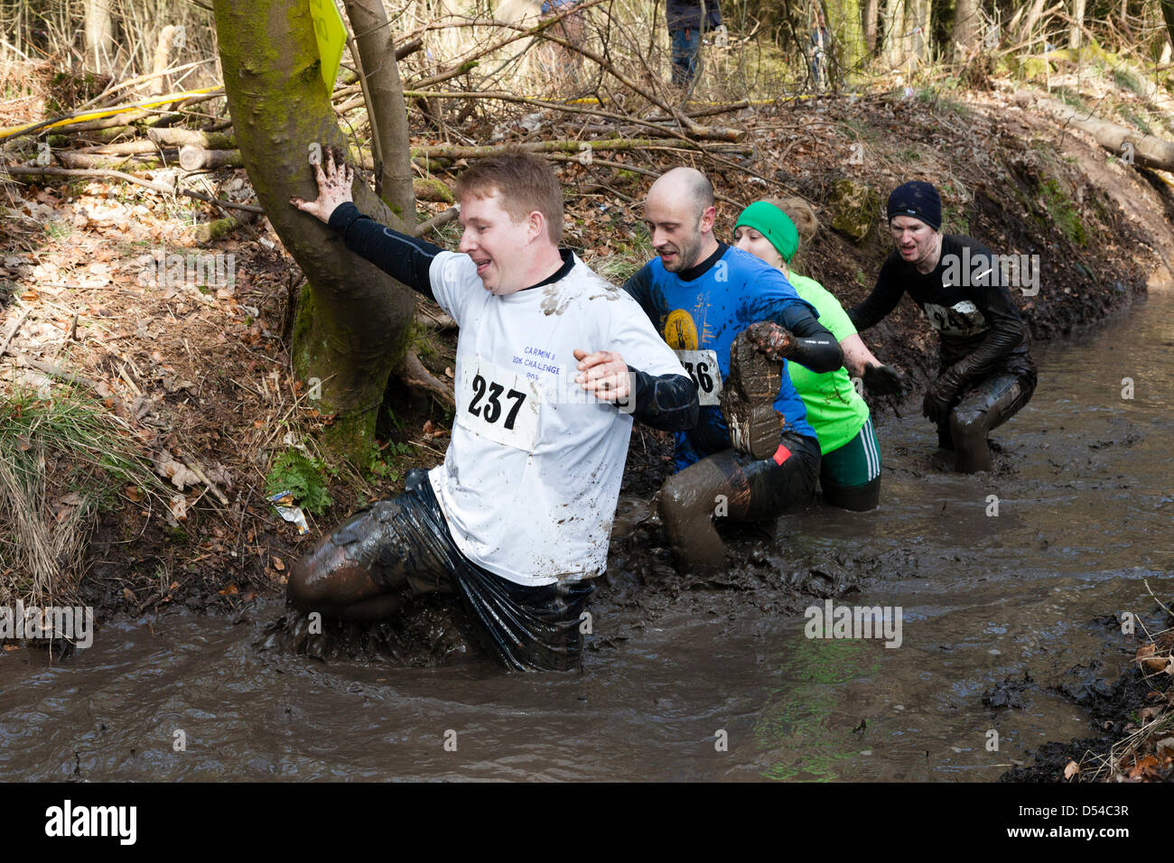 Ayrshire runners hi-res stock photography and images - Alamy