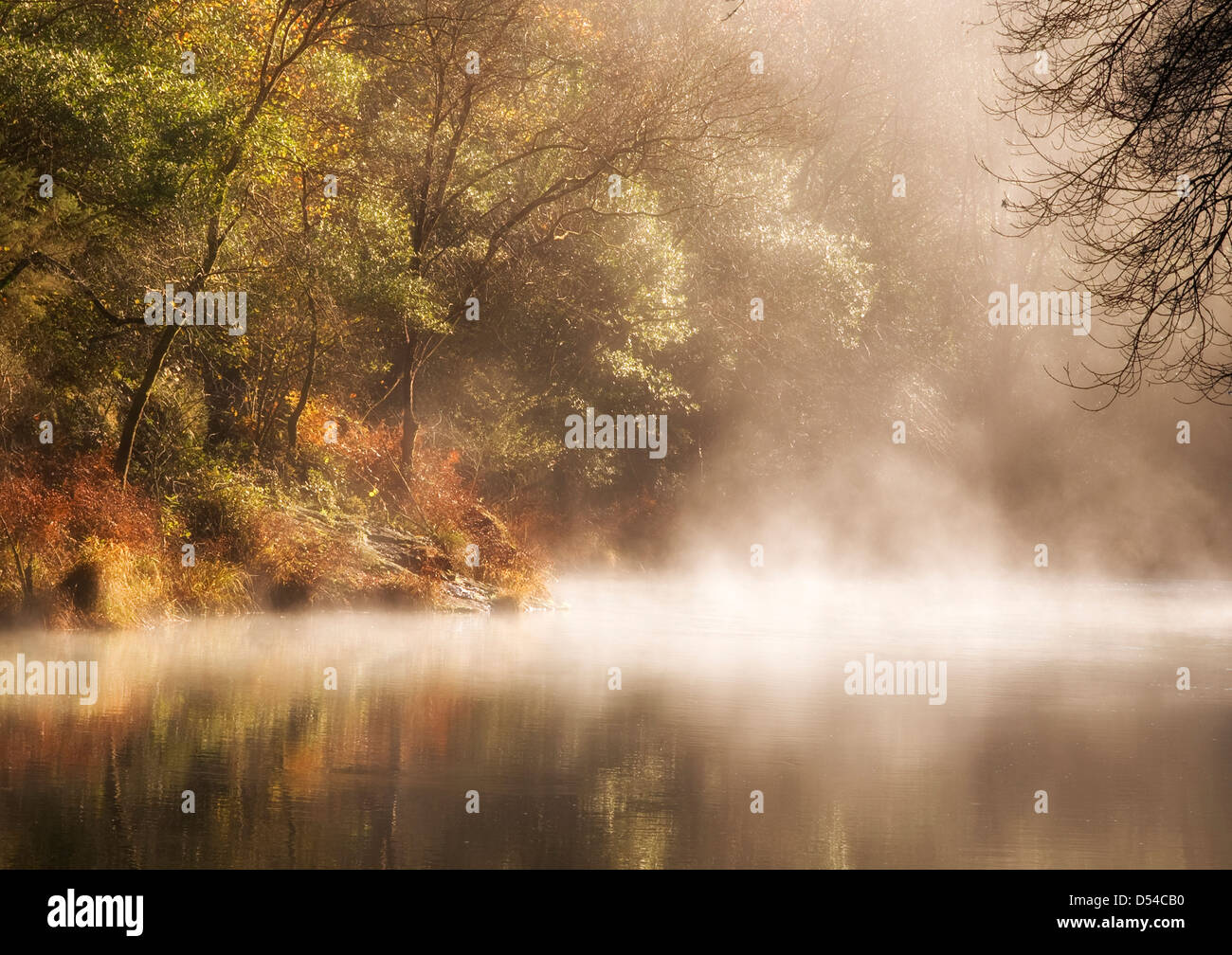 River and fog Stock Photo - Alamy