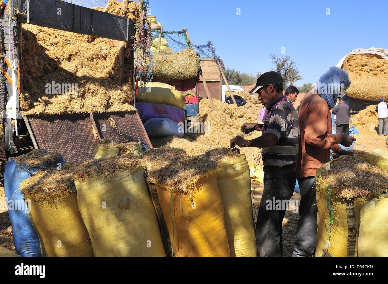 Bulk hay hi-res stock photography and images - Alamy