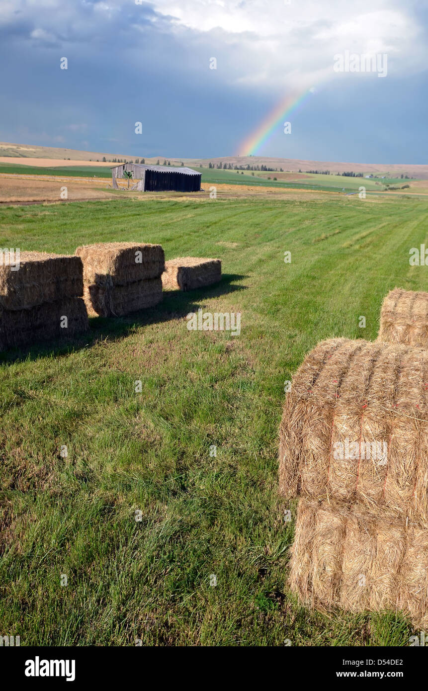 Hay stacks hi-res stock photography and images - Alamy
