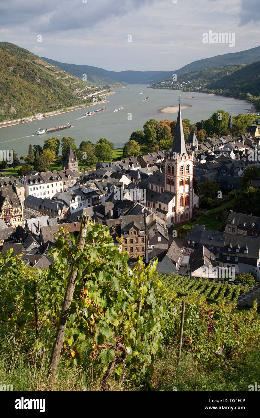 Bacharach, Germany, view over Bacharach Stock Photo - Alamy
