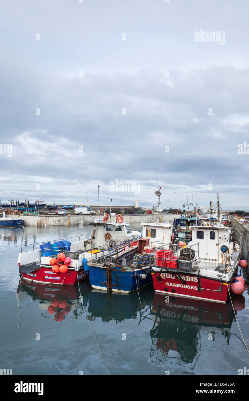 Seahouses Harbour with moored fishing boats, Northumberland Coast ...