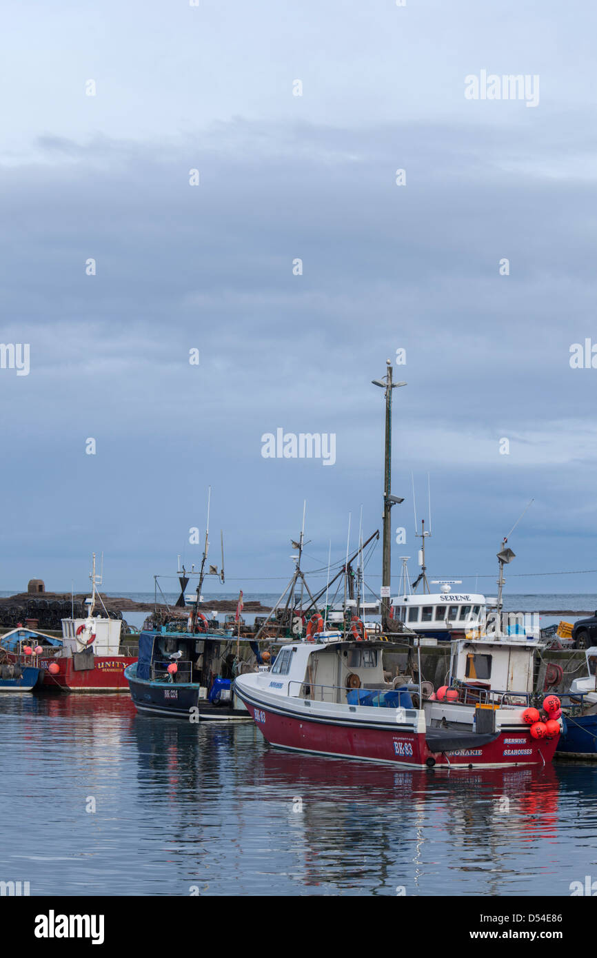 Seahouses Harbour with moored fishing boats, Northumberland Coast ...