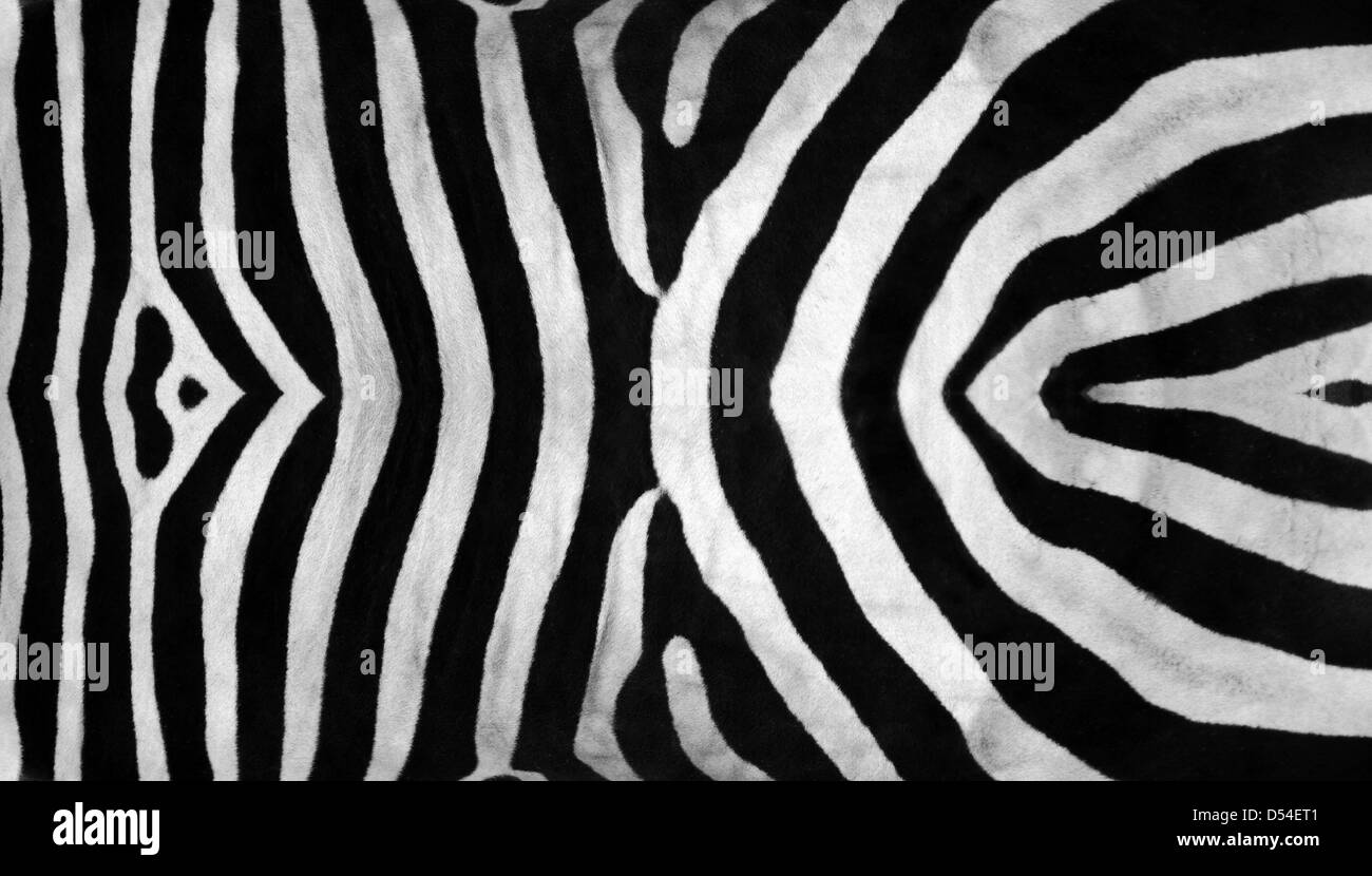 Real Zebra Print