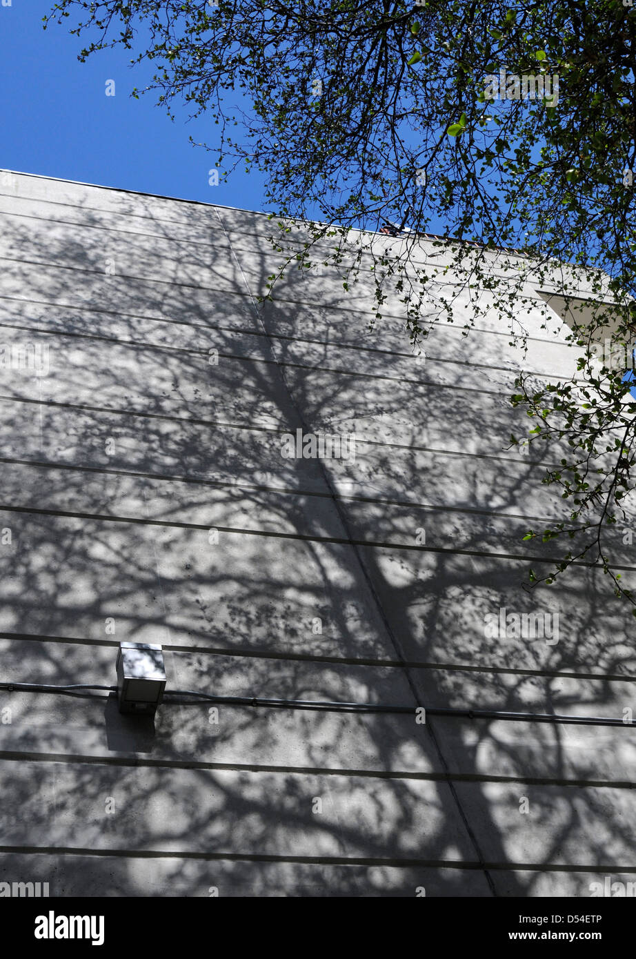 Tree shadow wall hi-res stock photography and images - Alamy