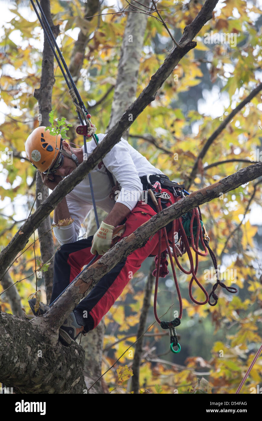Coverage Stock Photos & Coverage Stock Images - Alamy