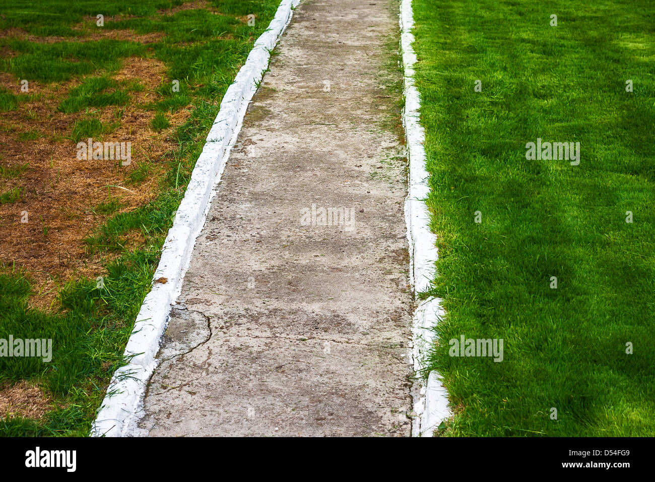 Nature series: Lane, road in green grass garden Stock Photo - Alamy