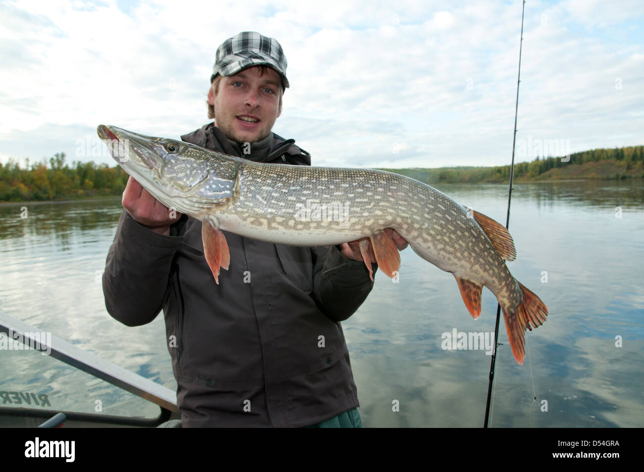 Northern Pike fishing, Athabasca River,Alberta,CA Stock Photo - Alamy